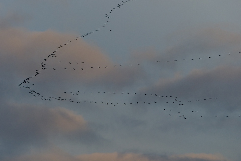 Photo Gallery - Cloud Appreciation Society