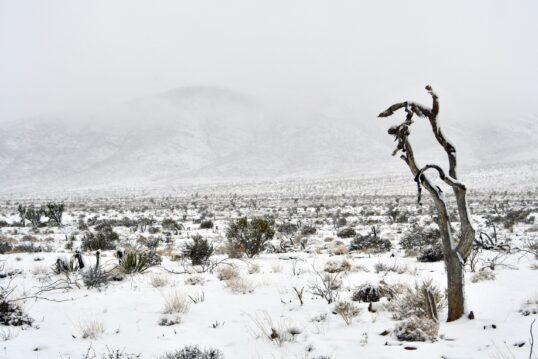 "High Desert Winter" by David Oscarson - Cloud Appreciation Society