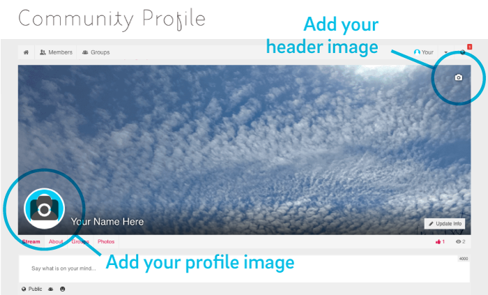 Set up your Community Profile - Cloud Appreciation Society