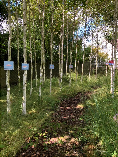 Painting Clouds In Lockdown - Cloud Appreciation Society