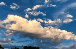 "Underdog" - Cloud Appreciation Society
