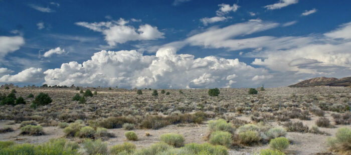 Robert Rosenbaum on Apr 22, 2021 – Cloud Appreciation Society