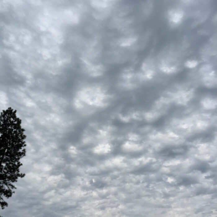 Lacunosus - Cloud Appreciation Society