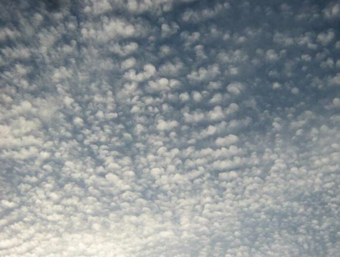 Floccus - Cloud Appreciation Society