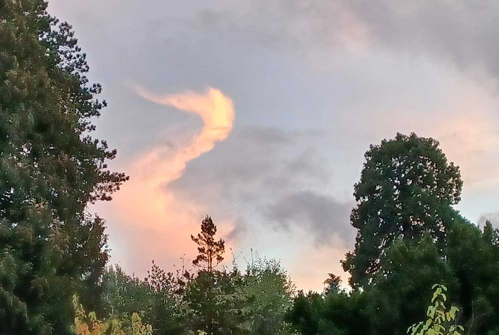 Photo Gallery - Cloud Appreciation Society