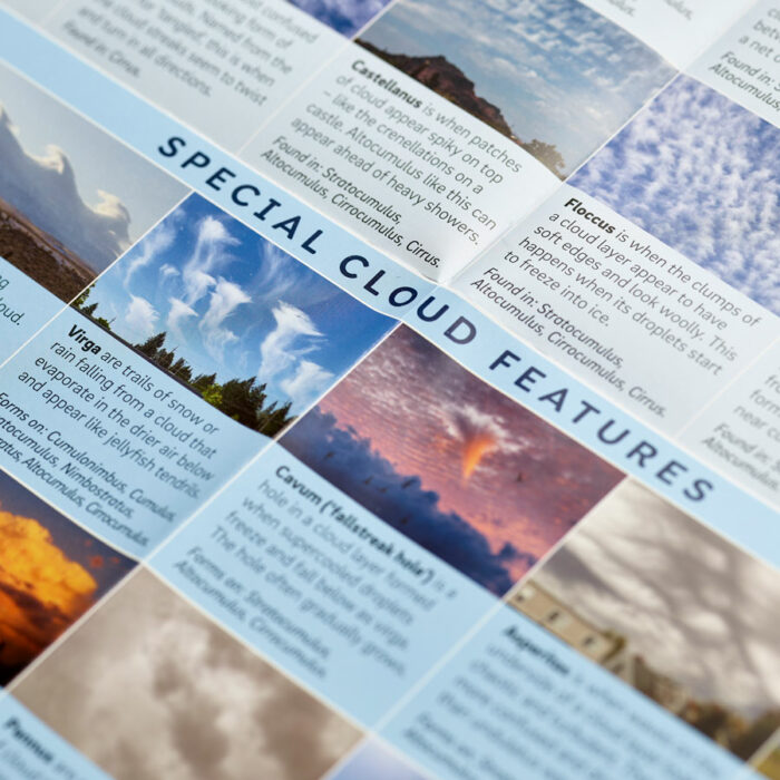Cloudspotting Chart poster - Cloud Appreciation Society