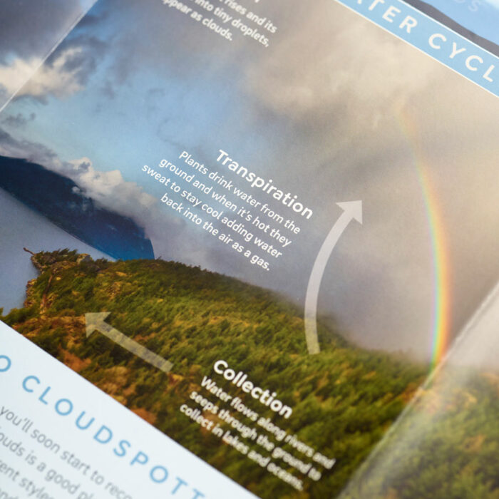 Cloudspotting Chart poster - Cloud Appreciation Society