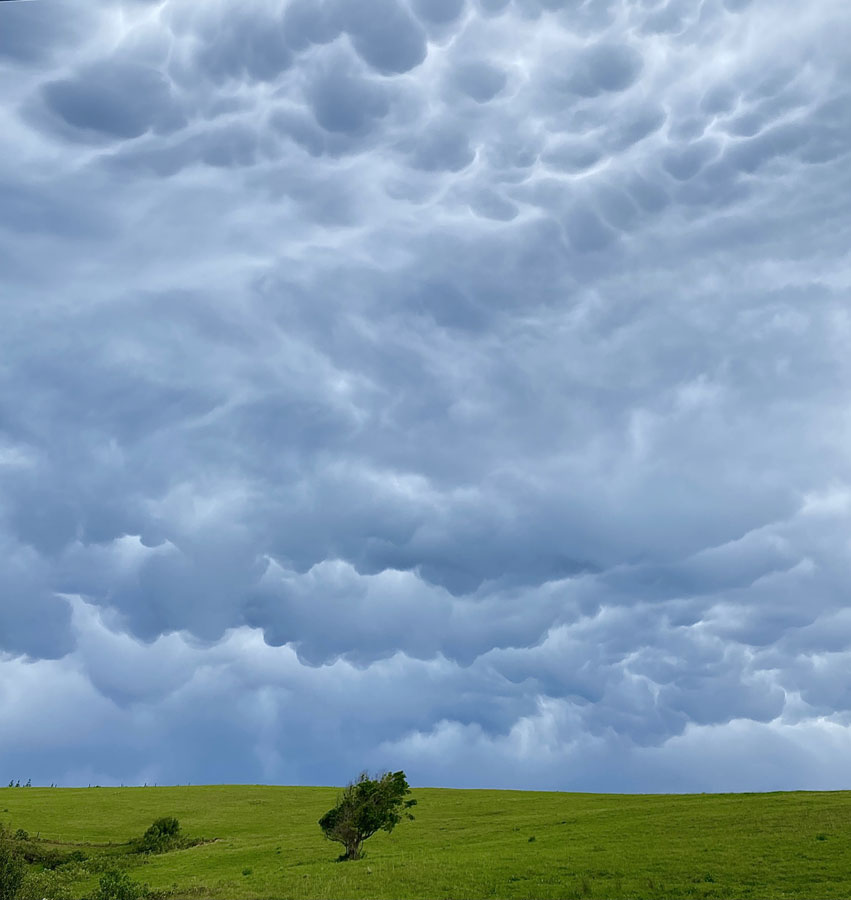 Photo Gallery - Cloud Appreciation Society