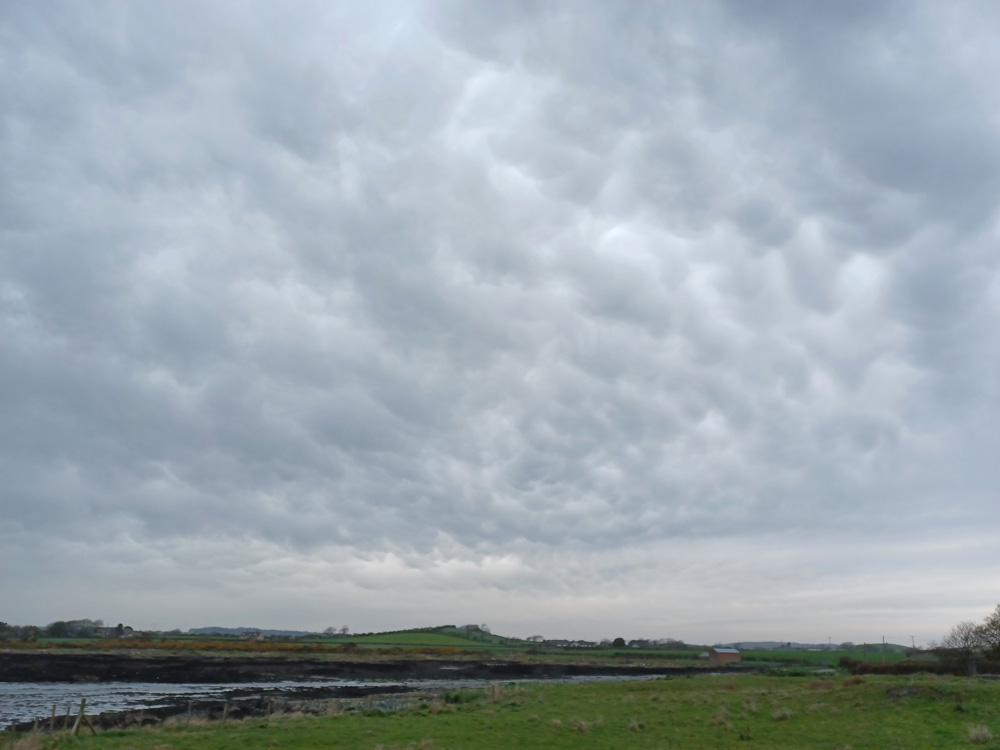 Photo Gallery - Cloud Appreciation Society