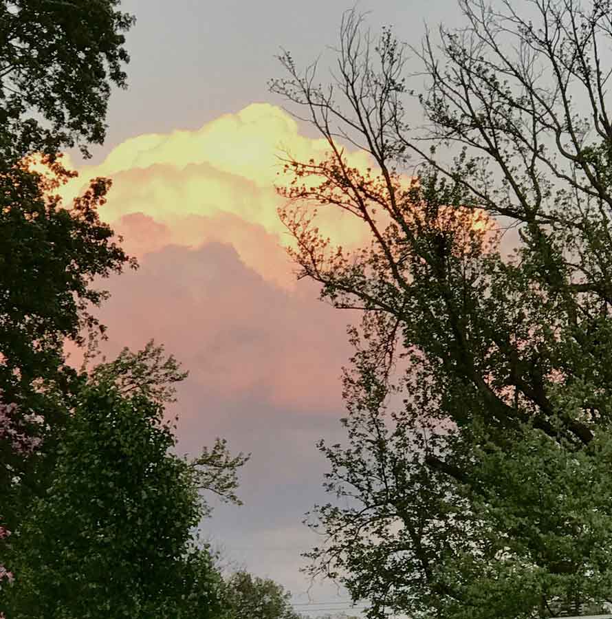 Photo Gallery - Cloud Appreciation Society