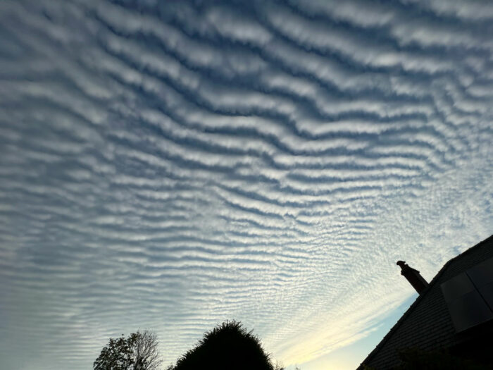 Undulatus - Cloud Appreciation Society