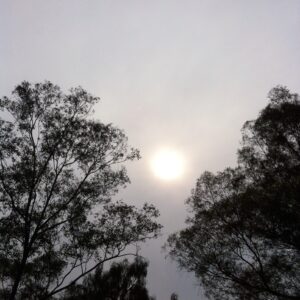 Altostratus - Cloud Appreciation Society