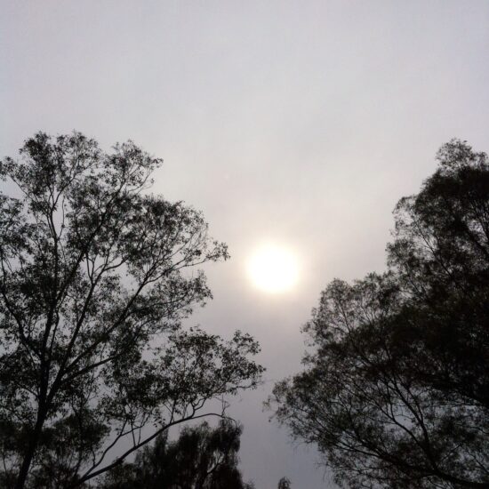 Virga - Cloud Appreciation Society