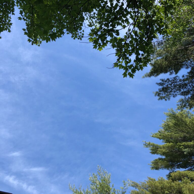 Cirrostratus - Cloud Appreciation Society