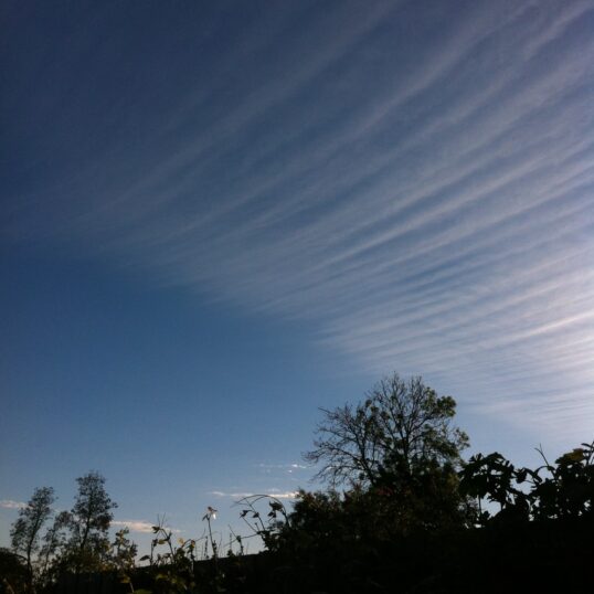 Cirrus - Cloud Appreciation Society