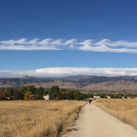 Undulatus - Cloud Appreciation Society