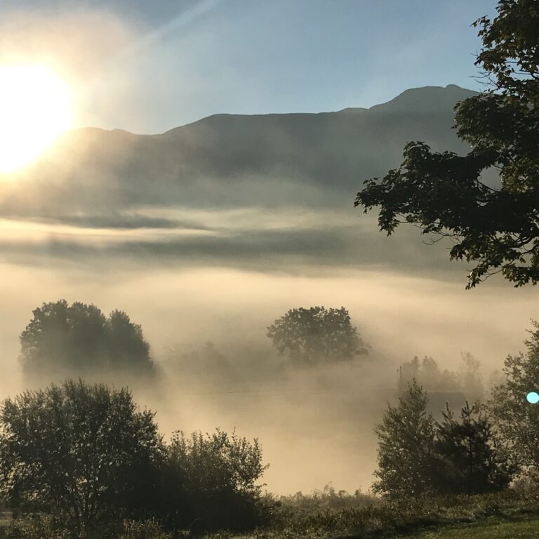 Fog - Cloud Appreciation Society