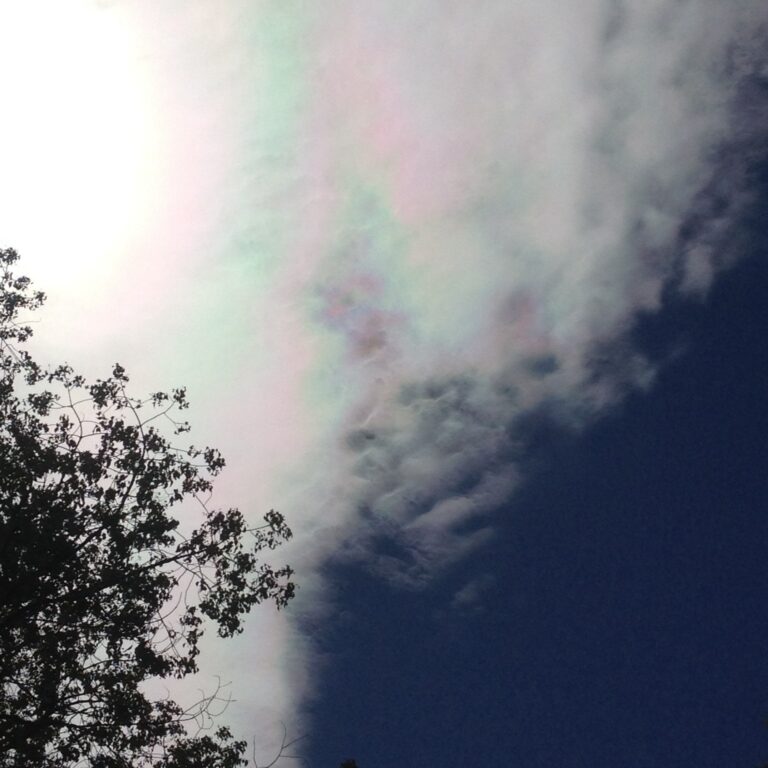 Cumulus - Cloud Appreciation Society