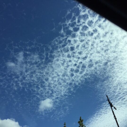 Stratocumulus - Cloud Appreciation Society