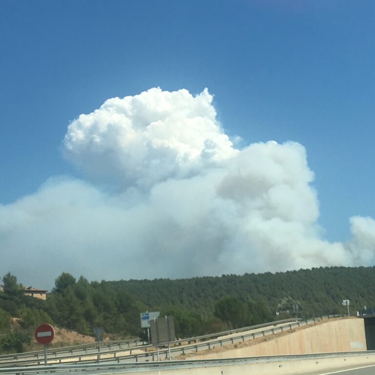 Pyrocumulus - Cloud Appreciation Society