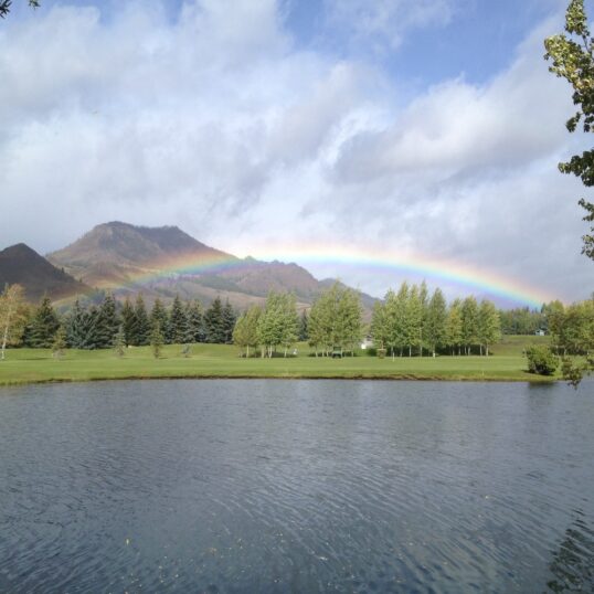 Clouds Archive Cloud Appreciation Society