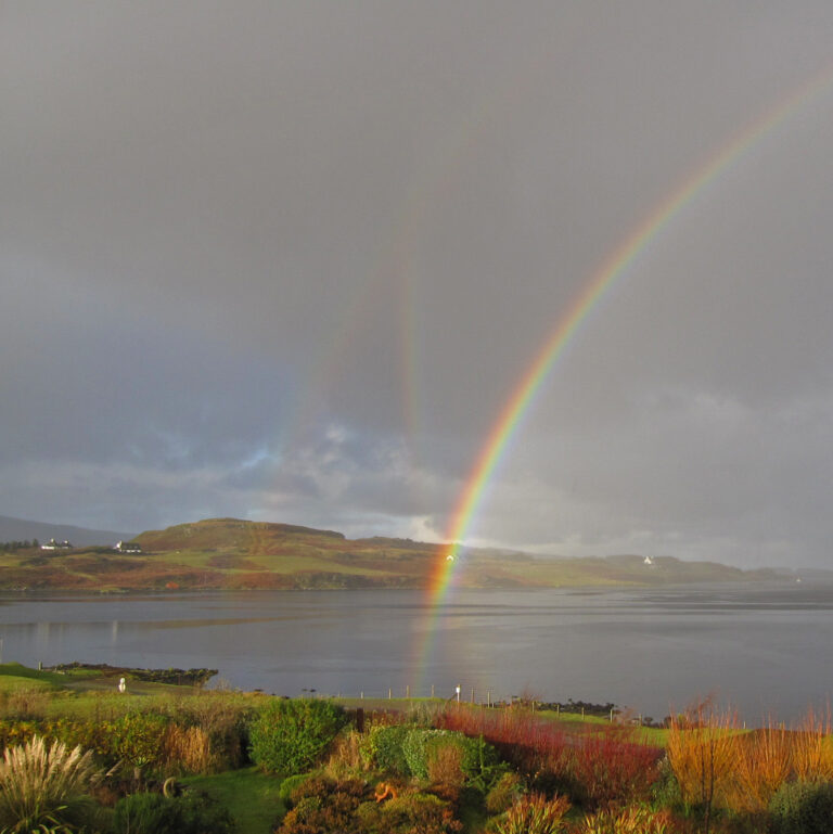 Castellanus - Cloud Appreciation Society