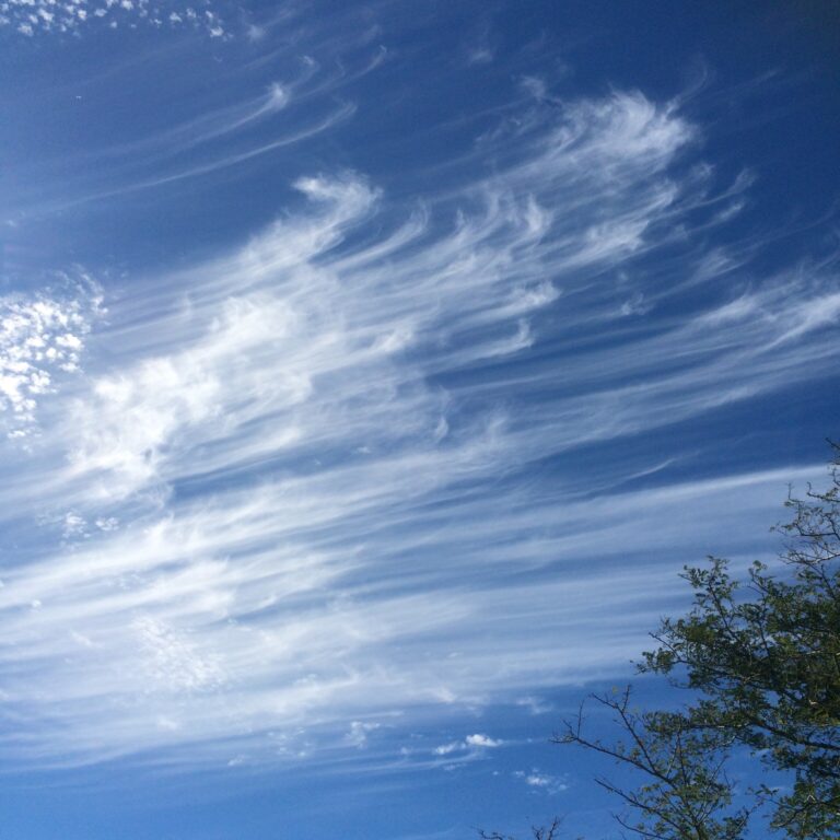 Cirrus - Cloud Appreciation Society