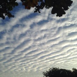 Undulatus - Cloud Appreciation Society