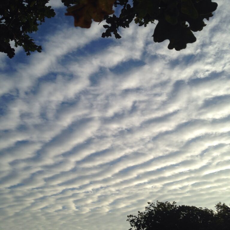 Stratocumulus - Cloud Appreciation Society