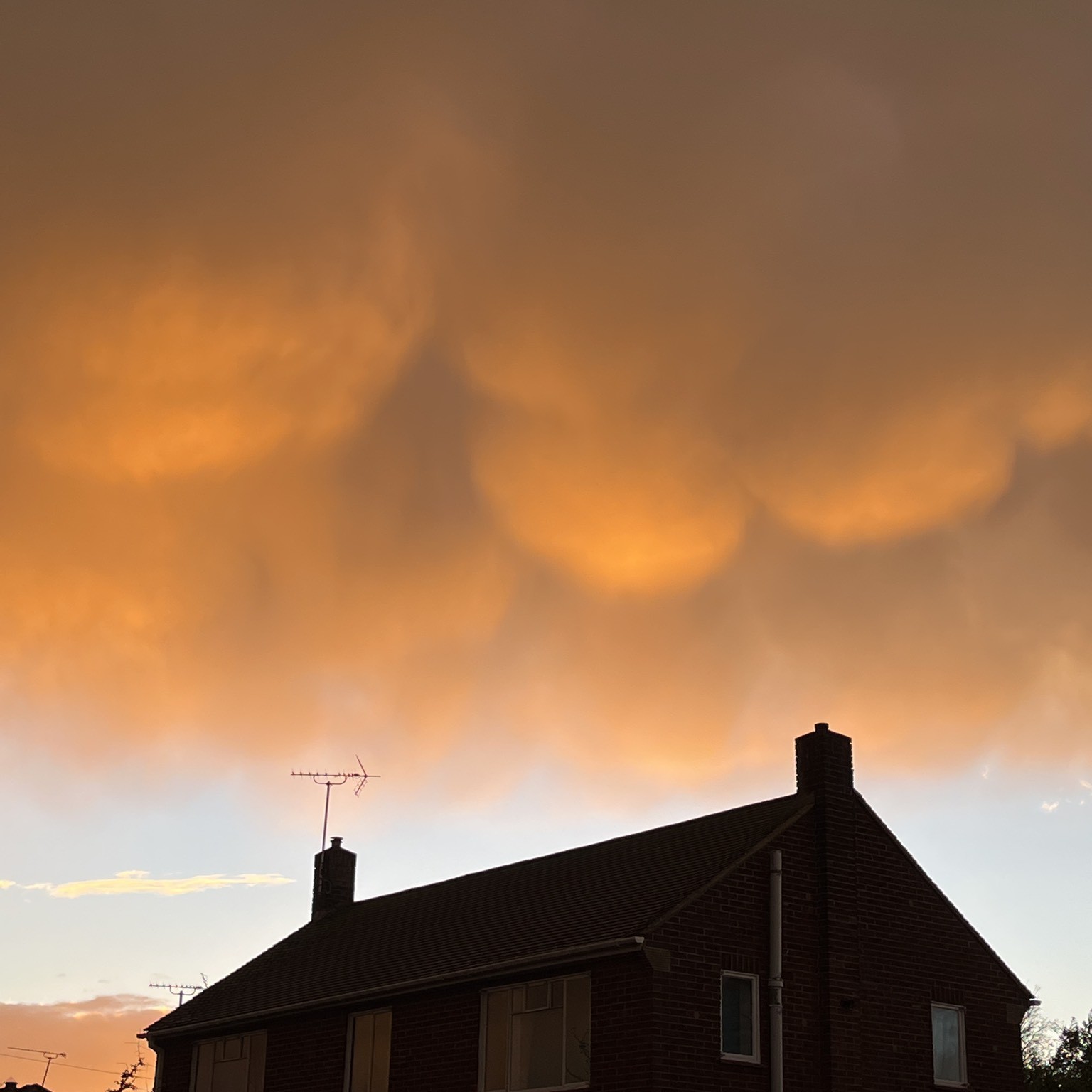 Photo Gallery - Cloud Appreciation Society