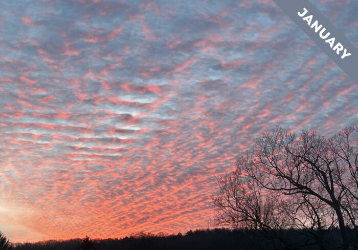 The Cloud Appreciation Society - Cloud Appreciation Society