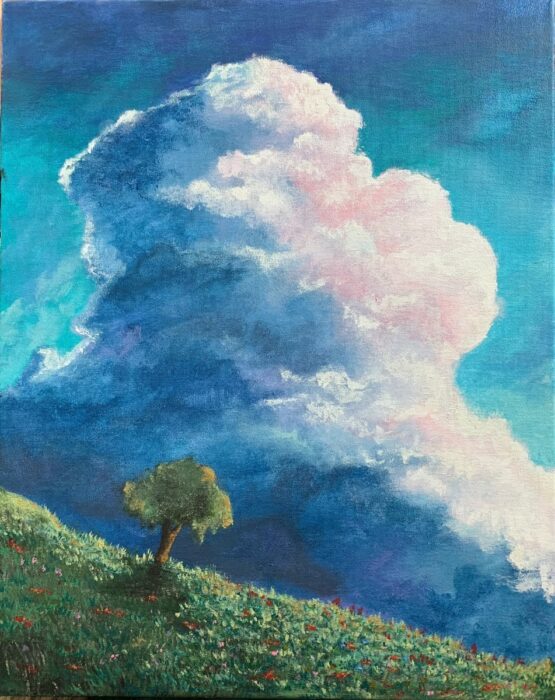 From Evelyn Wayment - Cloud Appreciation Society