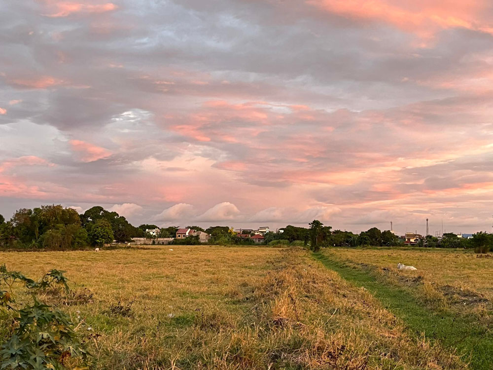 Photo Gallery - Cloud Appreciation Society
