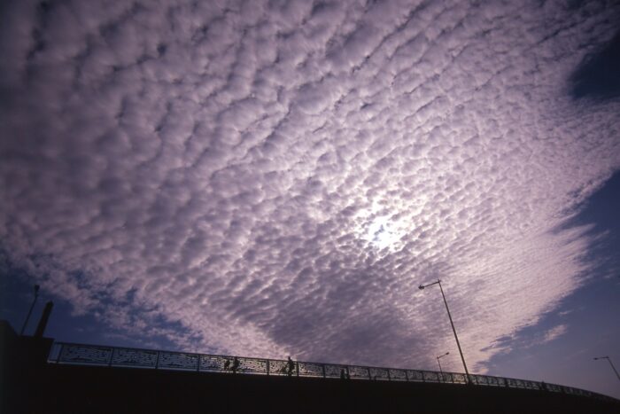 Altocumulus - Cloud Appreciation Society