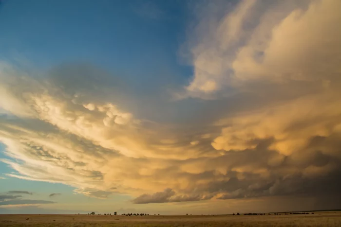 CUMULUS: THE ART OF METEOROLOGY - Cloud Appreciation Society