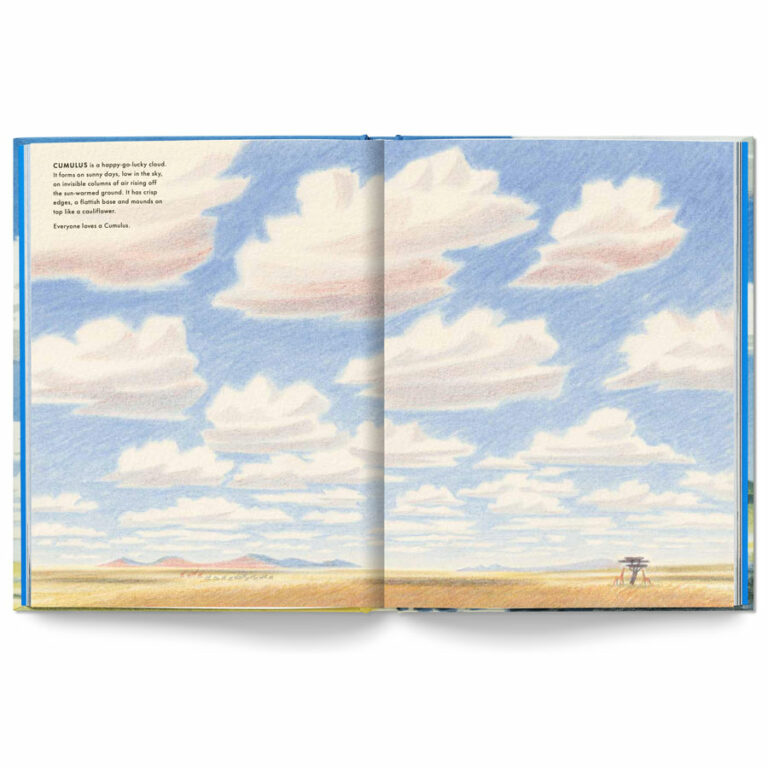 Cloudspotting for Beginners (Signed) - Cloud Appreciation Society