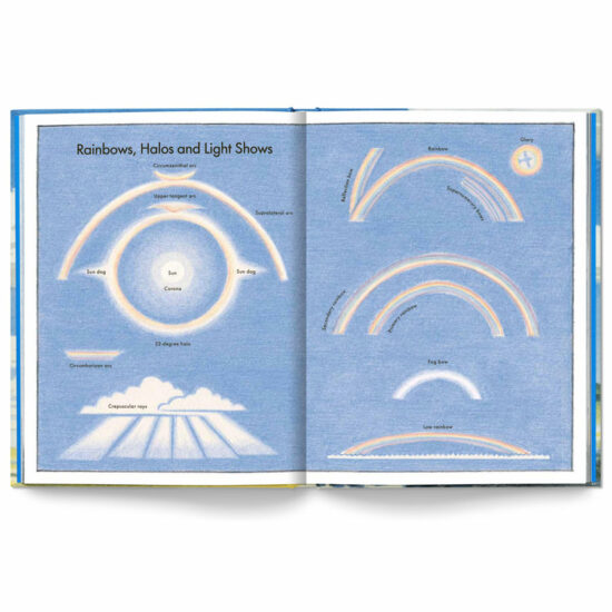 Cloudspotting for Beginners (Signed) - Cloud Appreciation Society