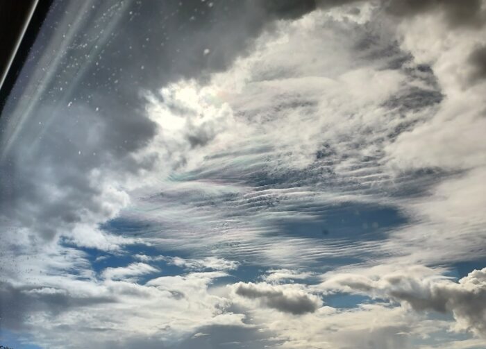 Undulatus and lacunosus occurring within the altocumulus clo…