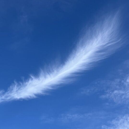 from Eithne Hand - Cloud Appreciation Society