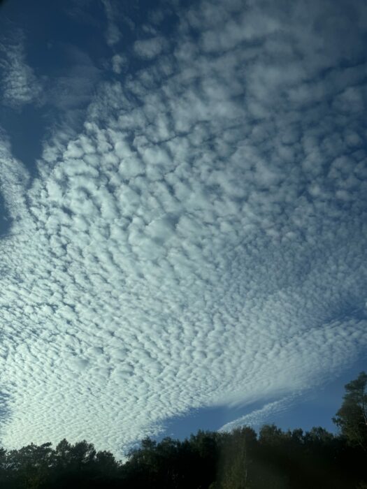 Altocumulus - Cloud Appreciation Society