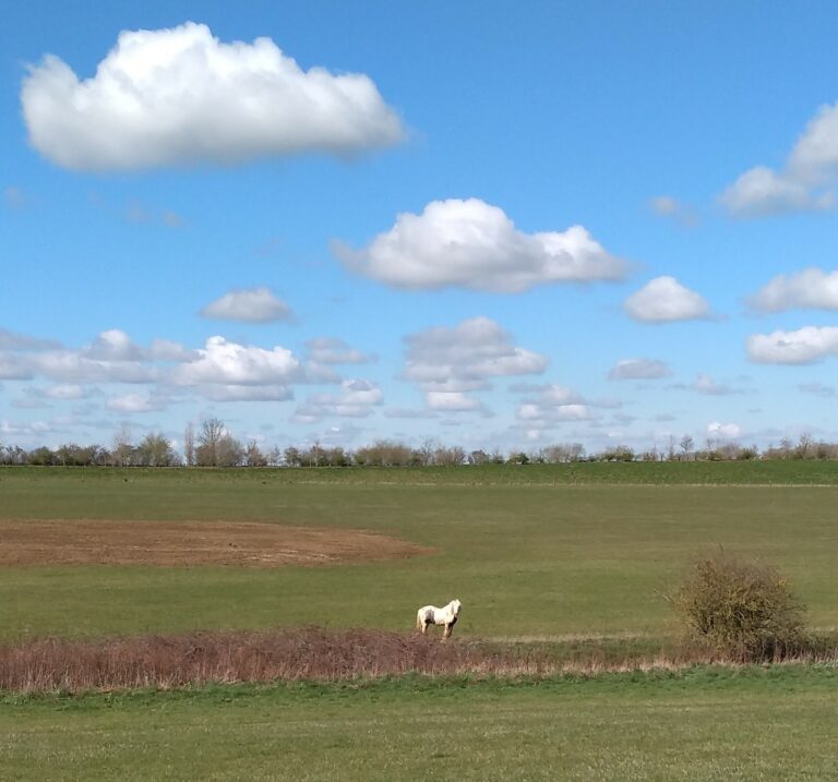 From Simon Rickman - Cloud Appreciation Society