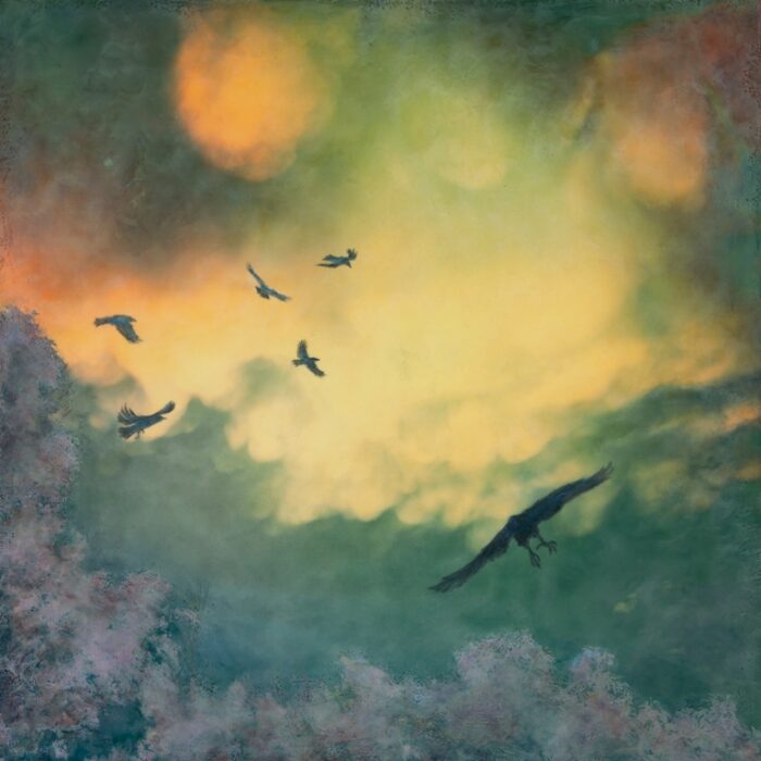 From Catherine Eaton Skinner - Cloud Appreciation Society