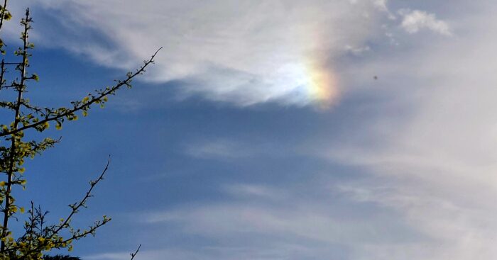 Sun Dog (Parhelion) seen from Pamela’s back garden, near Buc…