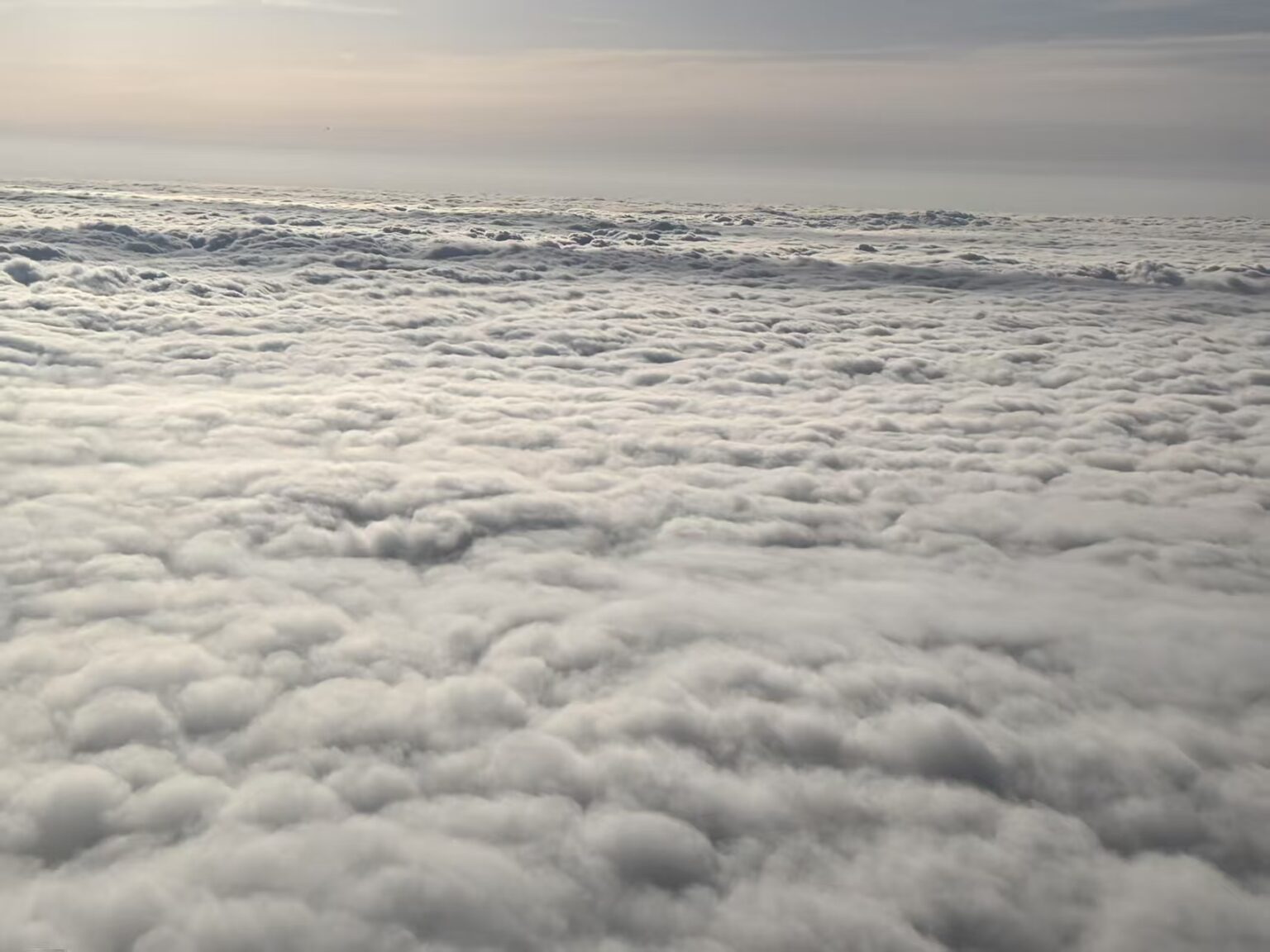 How microbes living in the clouds affect our lives - Cloud Appreciation Society