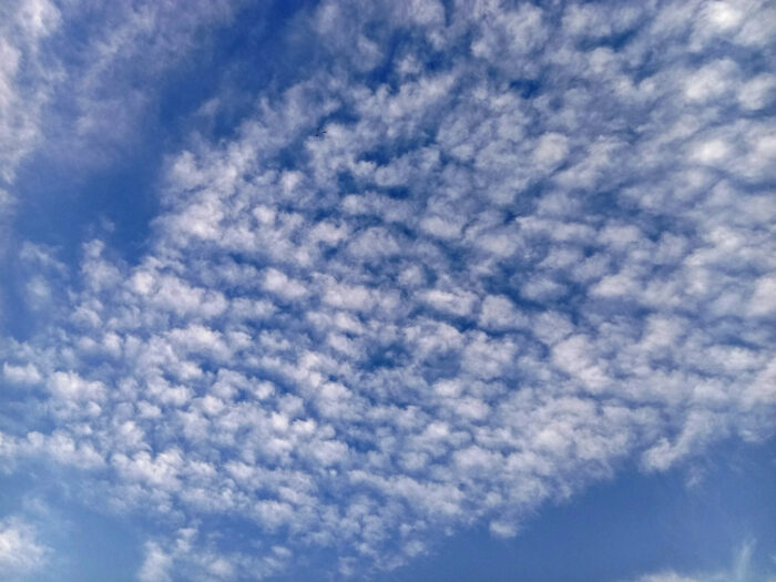 Altocumulus floccus spotted over Esfahan, Iran