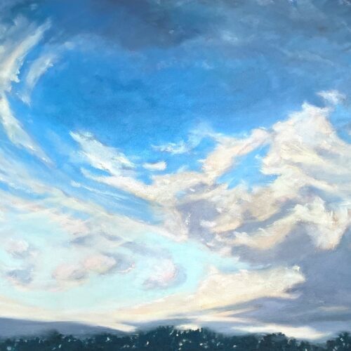 The Cloud Appreciation Society - Cloud Appreciation Society